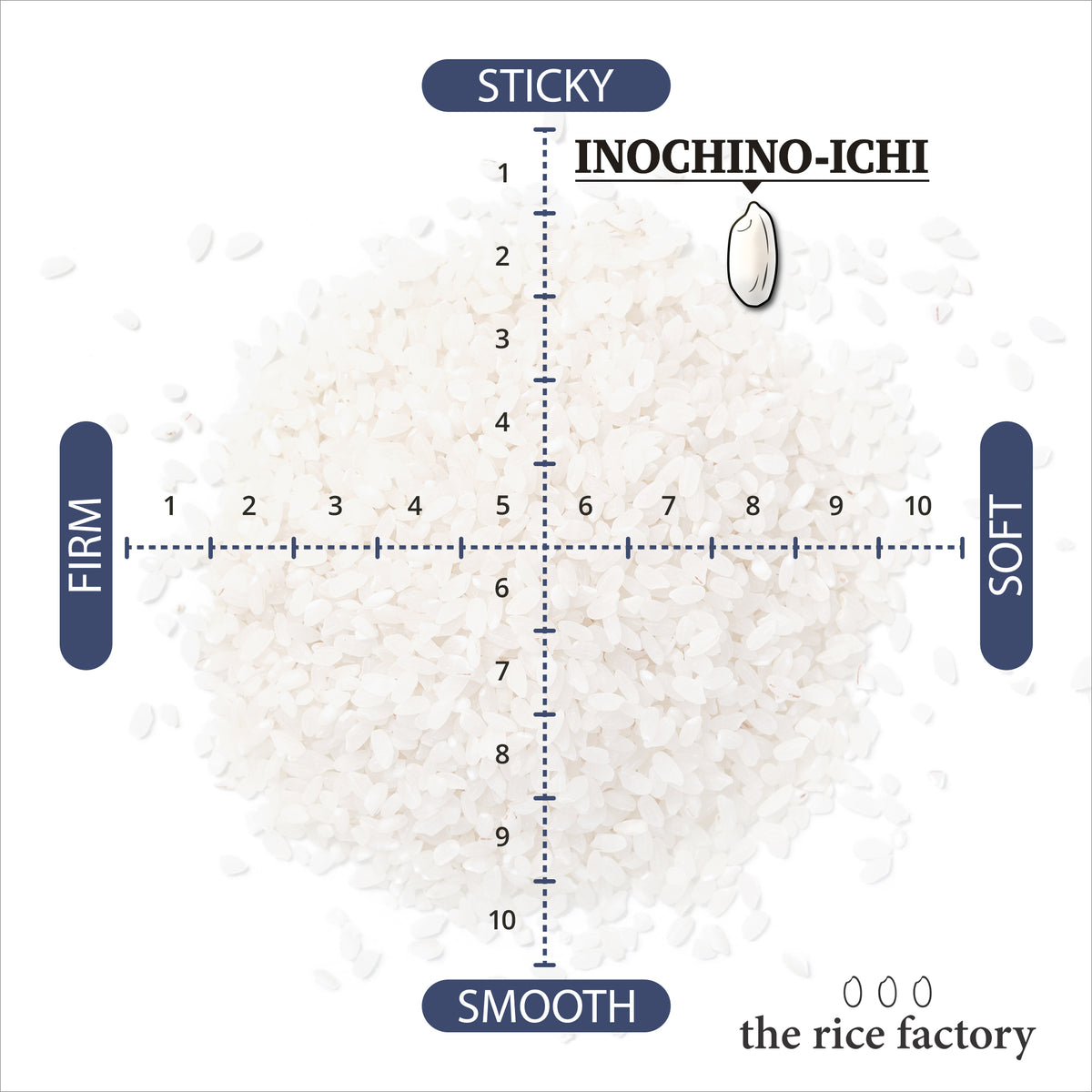 Gifu Inochi-no Ichi organic- JAS有機 飛騨 いのちの壱 - 2024 Crop – the rice factory NY