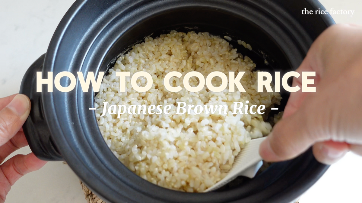 [How to cook] Japanese Brown Rice – the rice factory New York