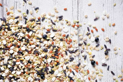 Grocery Store Feature: The Park Slope Food Coop – the rice factory NY